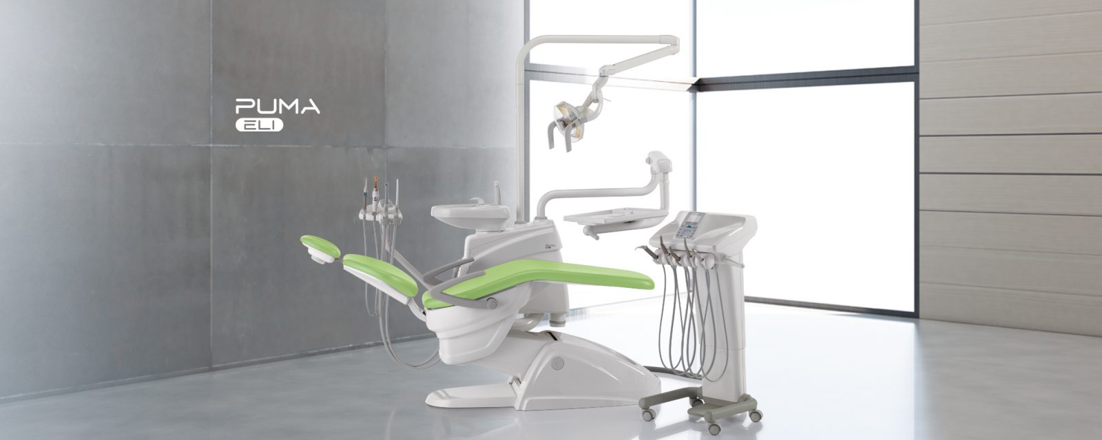 Castellini Puma Eli - Cadent